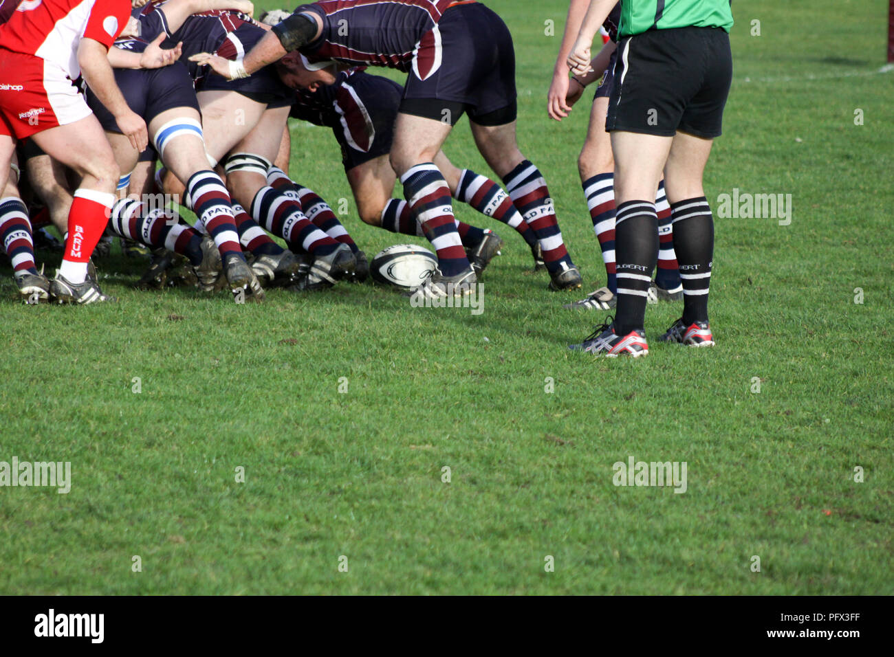 Referee and scrum hi-res stock photography and images - Alamy