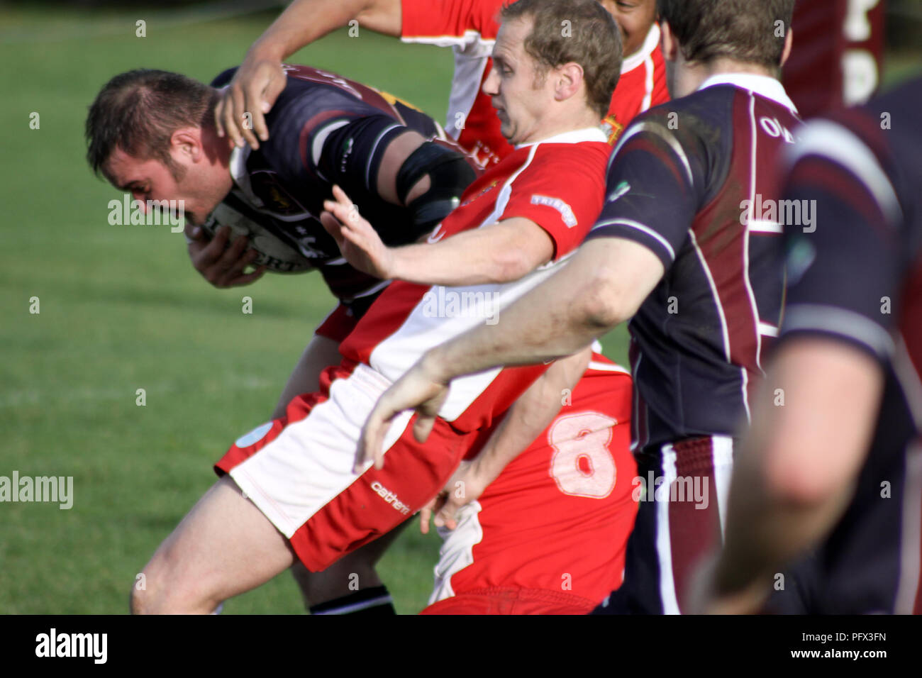 Driving forward during a rugby match between Old Pats RFC and ...