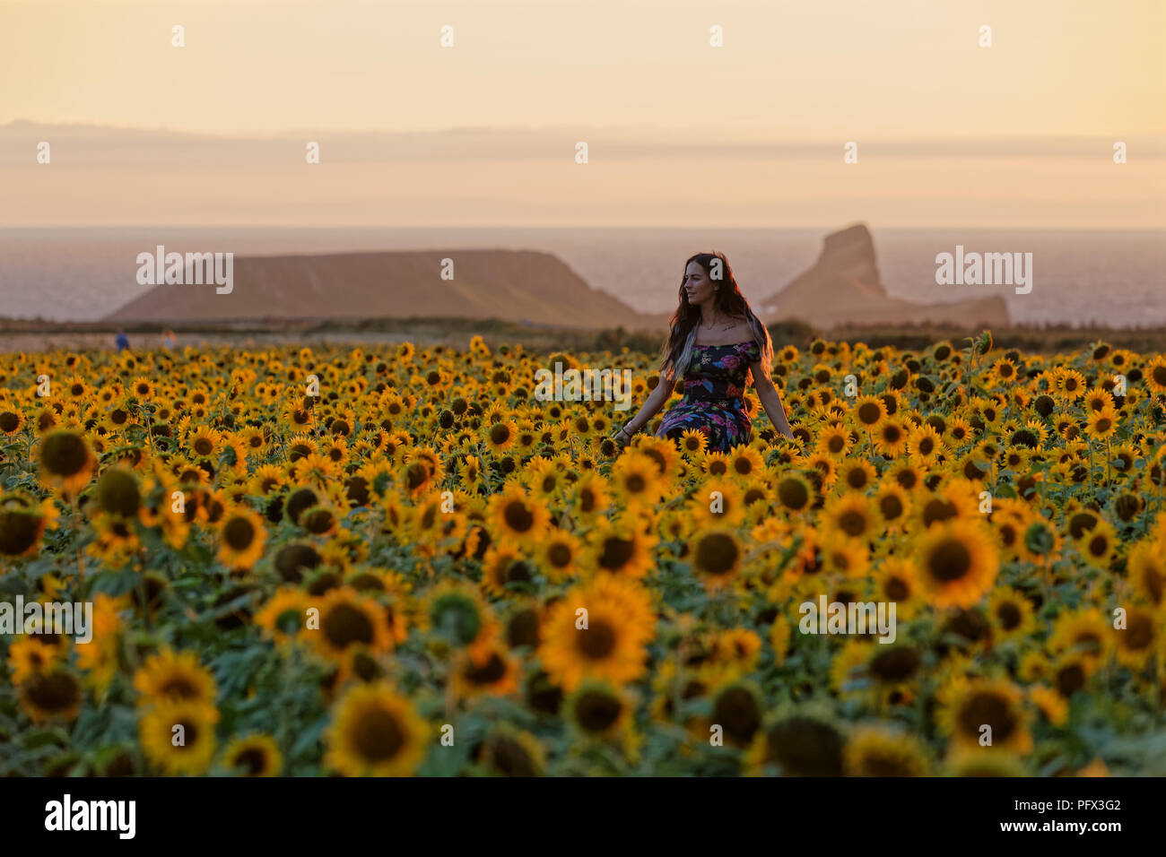 Natasha Jenkins enjoys a walk during sunset amongst a field of ...