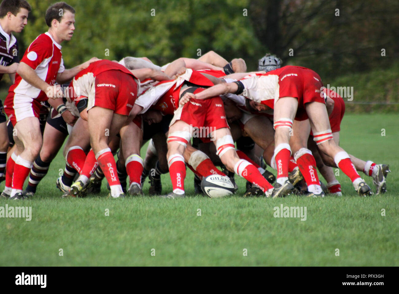 Old Pats RFC verses Barnstaple RFC Stock Photo - Alamy
