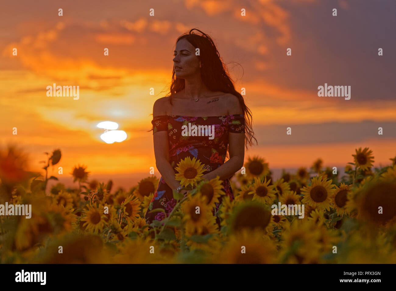 Natasha Jenkins enjoys a walk during sunset amongst a field of ...