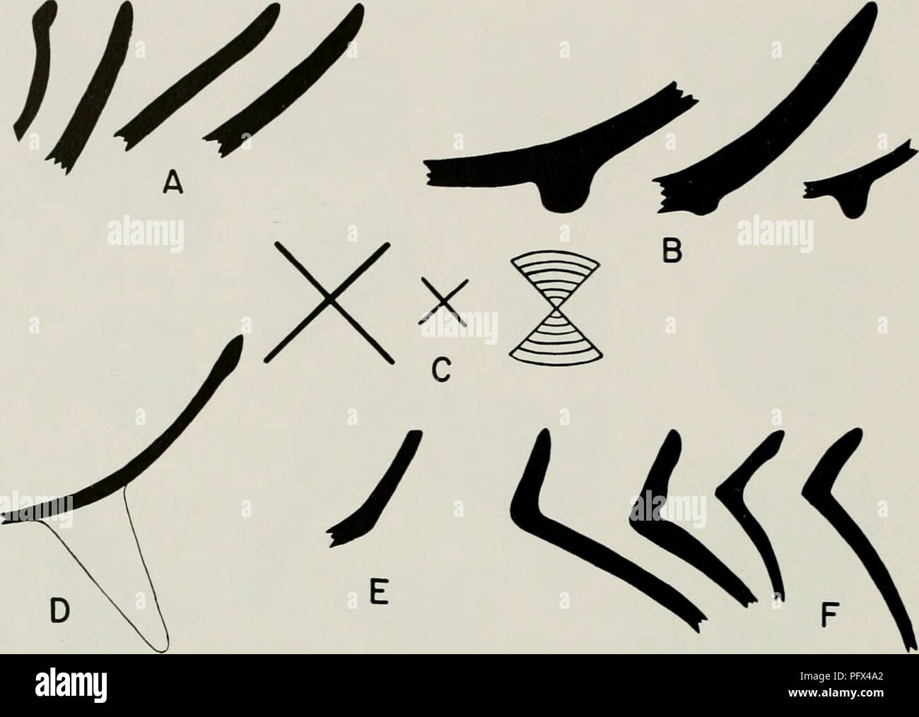 Conical profiles hi-res stock photography and images - Alamy