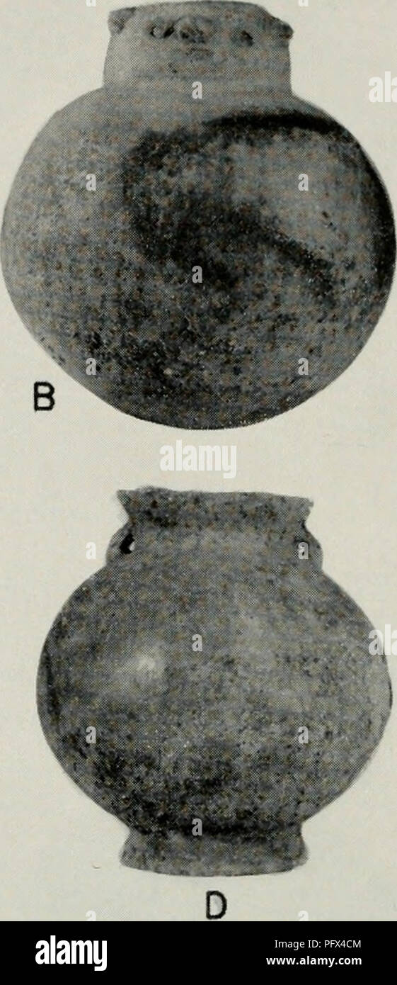 This study examines the pottery of the Virú Valley, Peru, focusing on ...