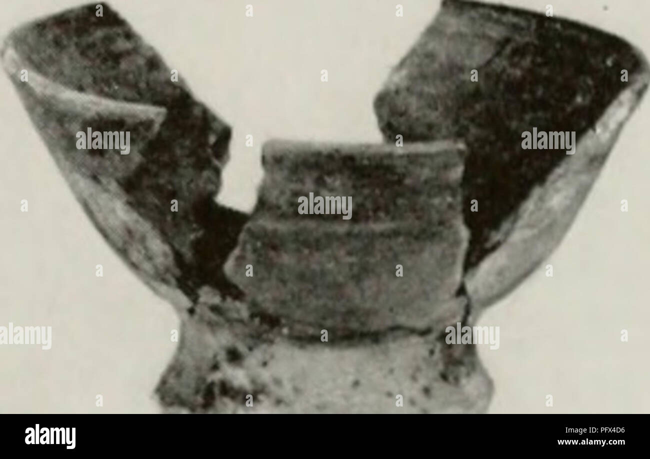 This study examines the pottery of the Virú Valley, Peru, and its role ...