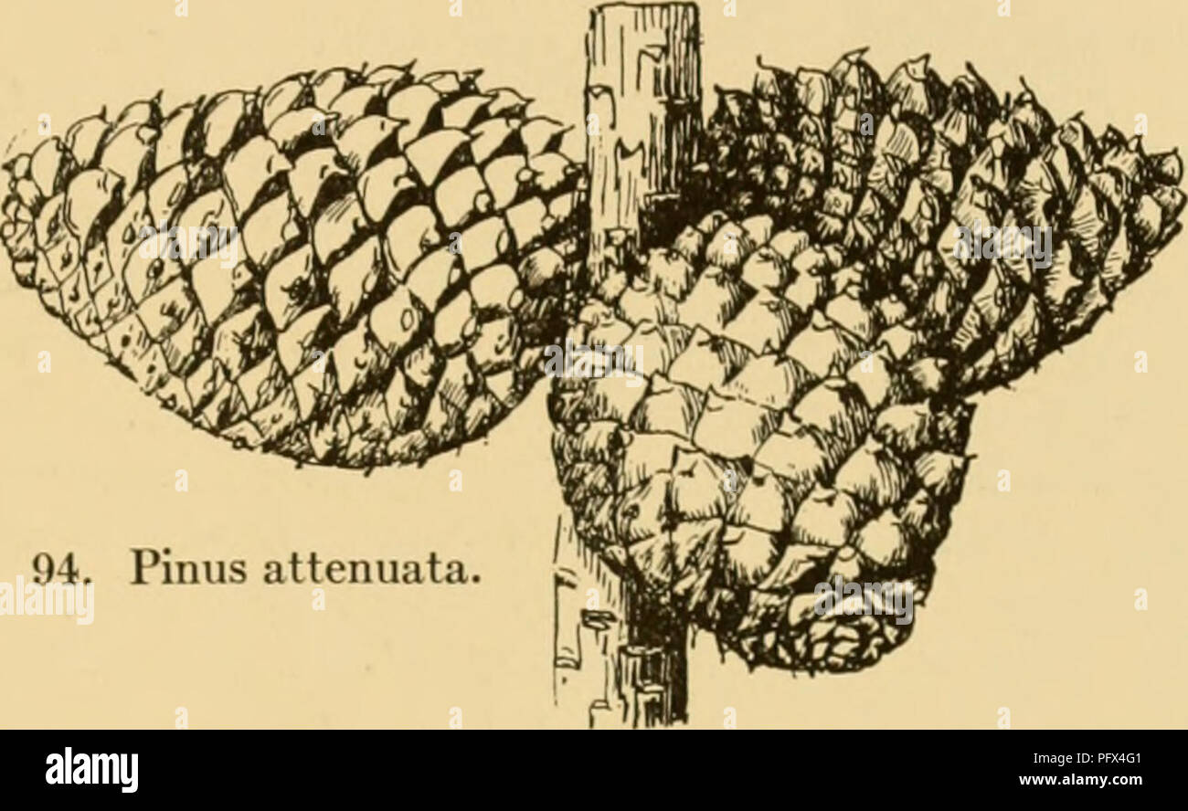 This handbook provides detailed information about the cultivation of ...