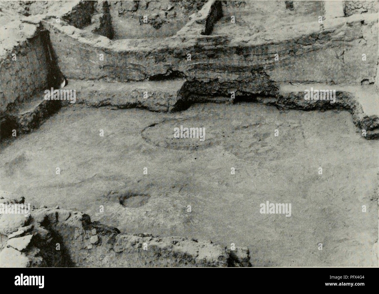 This study examines the ceramics of the Virú Valley in Peru, using ...