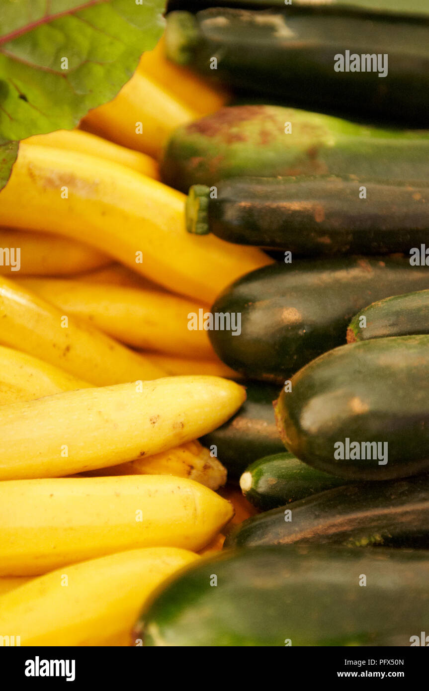 Organic Zucchinis or Courgettes for sale at a market Stock Photo - Alamy