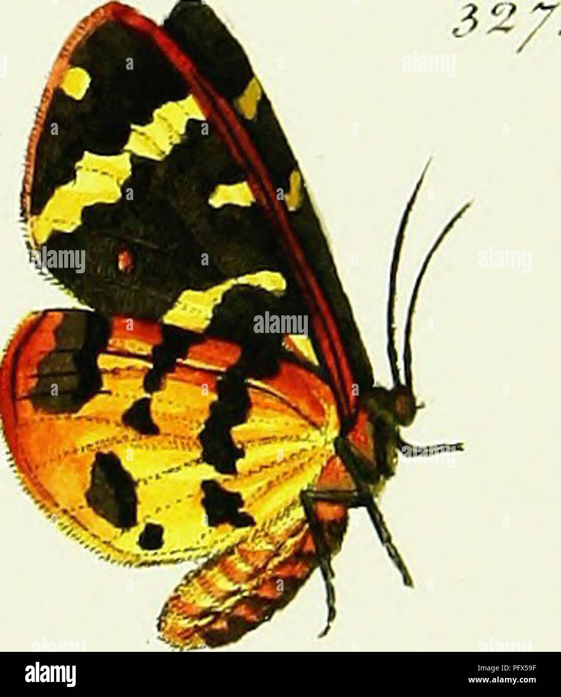 Hu?bner's Papilio is an entomological work on the identification and ...