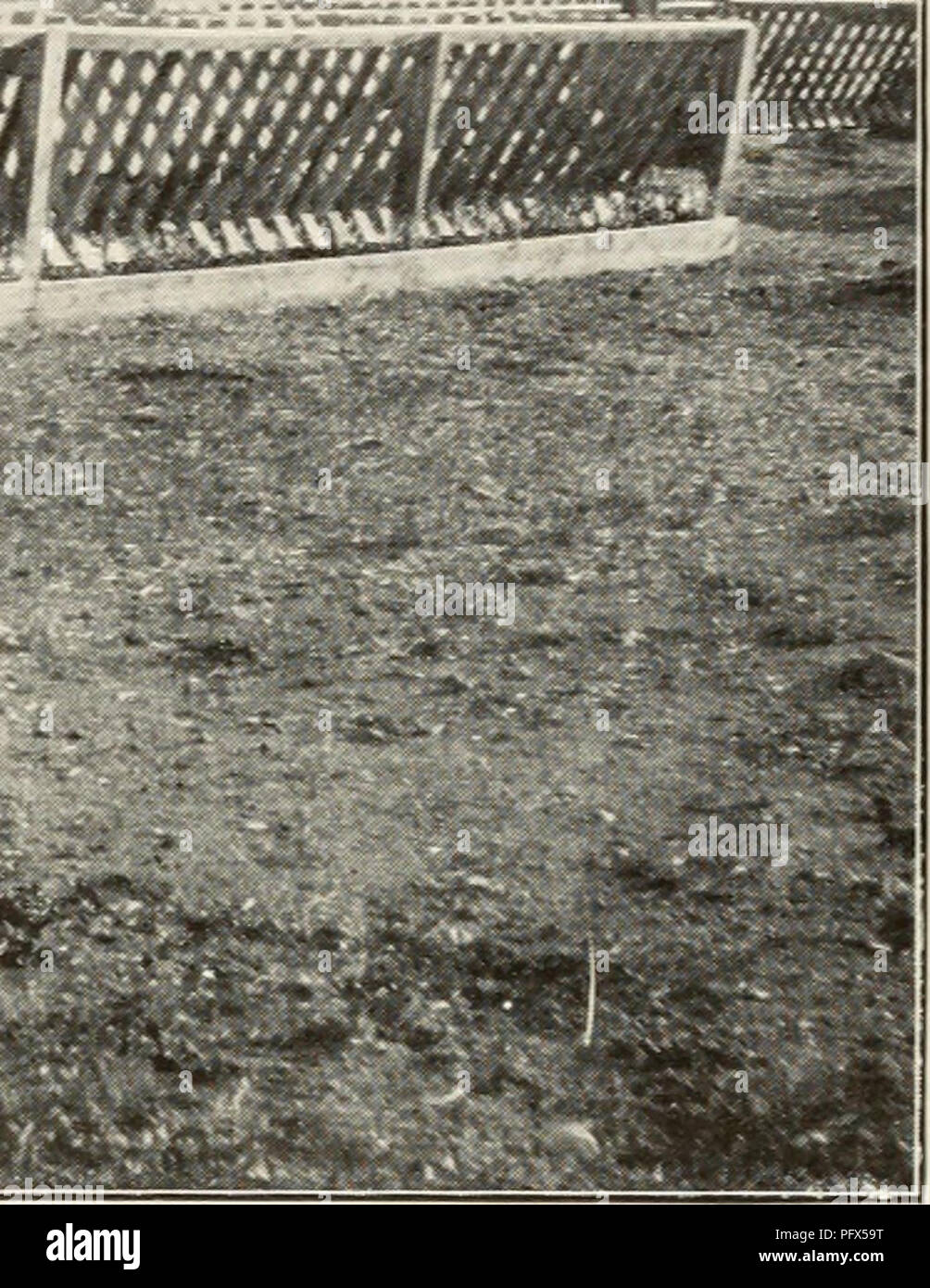 This agricultural illustration shows a lattice rack used to feed ...