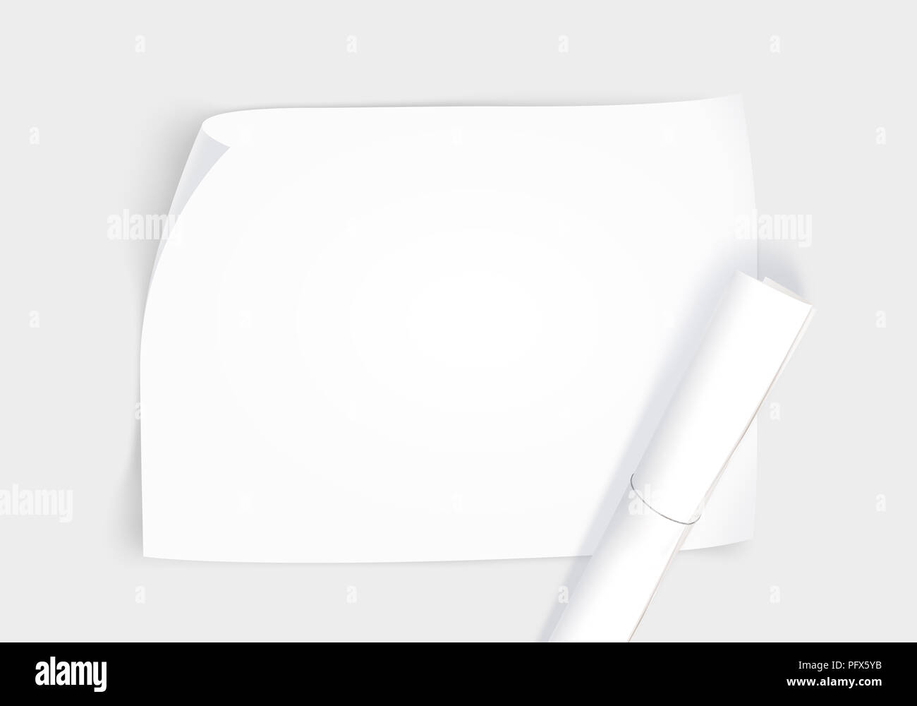 Blank whatman paper mockup with roll, top view isolated. Creative ...