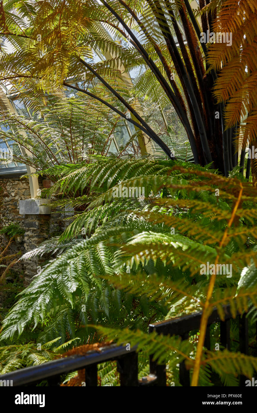 Fernhouse hi-res stock photography and images - Alamy