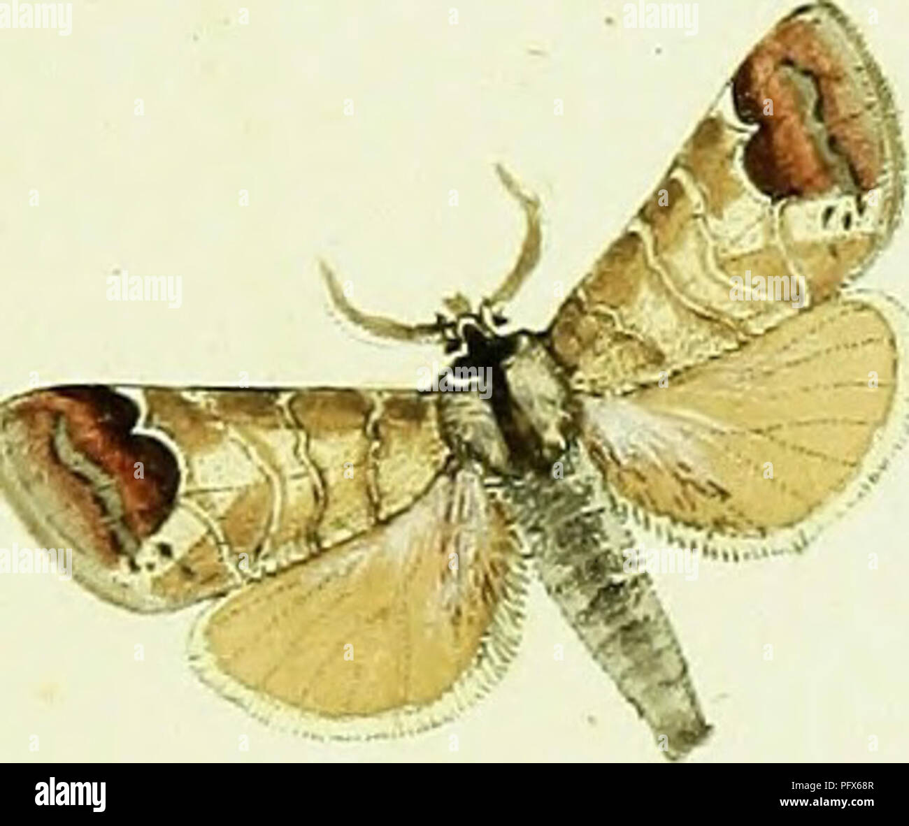 This resource details the work of Jacob Hubner, focusing on the ...