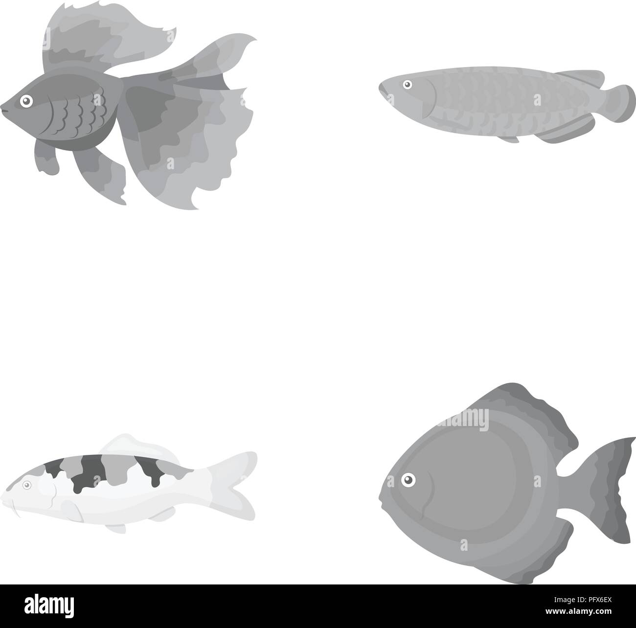 aquarium,carp,collection,discus,fish,fotmosus,gold,icon,illustration ...
