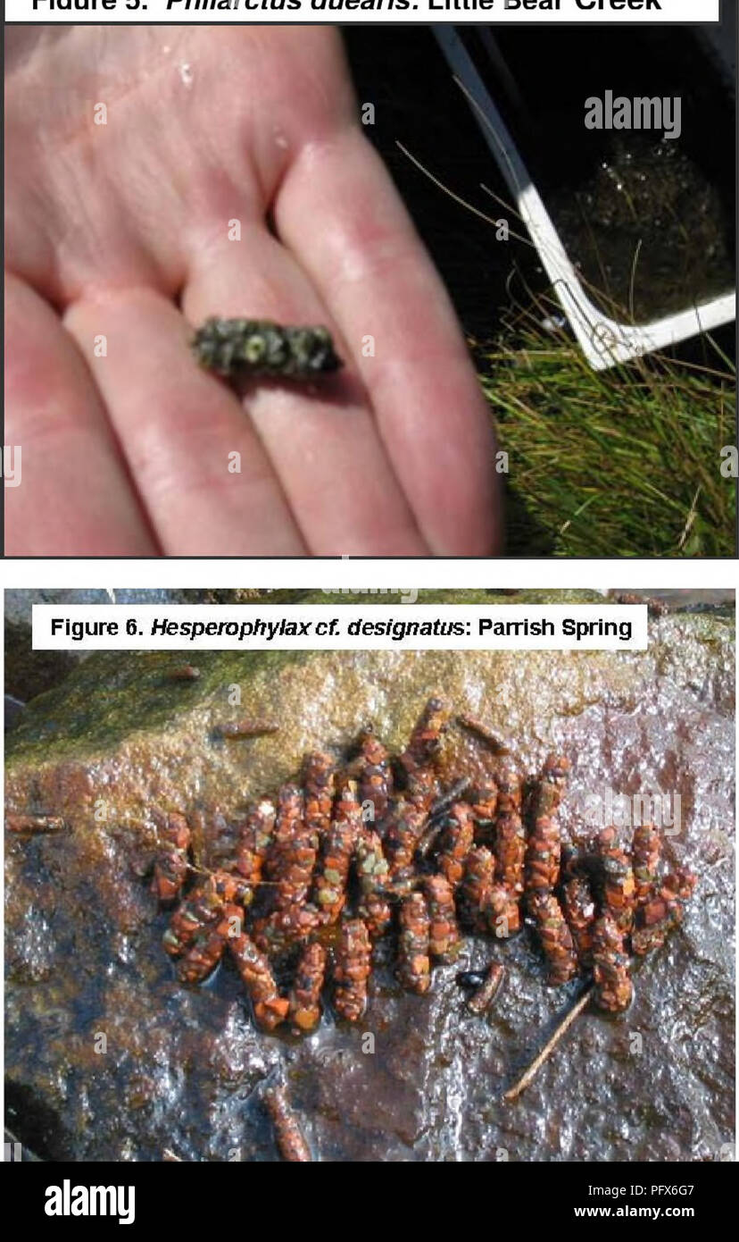 . A Cumulative biological assessment of macroinvertebrate sites in the ...