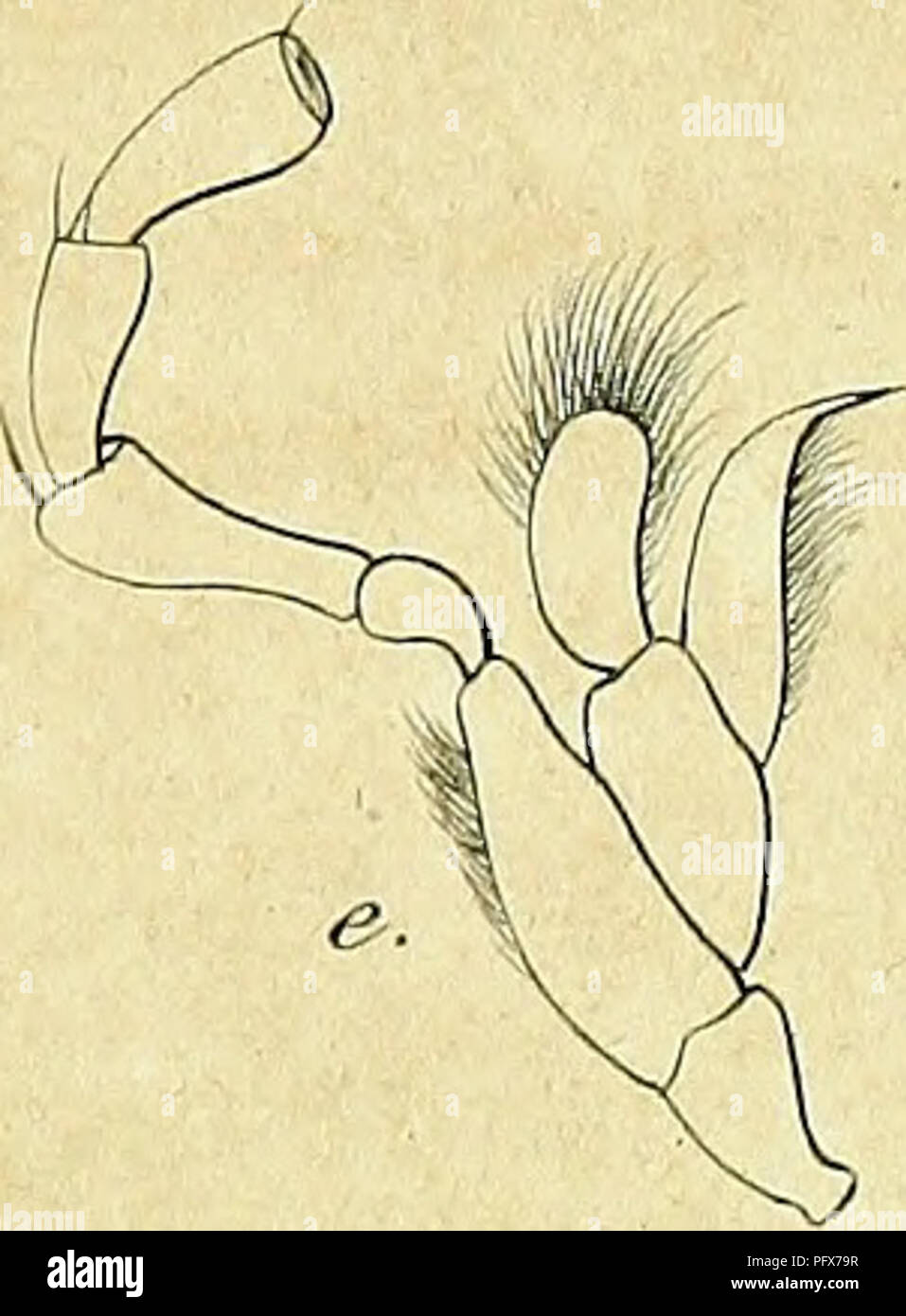 This work provides a detailed exposition of the characteristics of ...