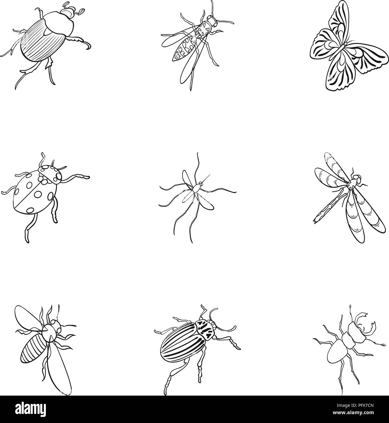 Species of stinging insects Stock Vector Images - Alamy