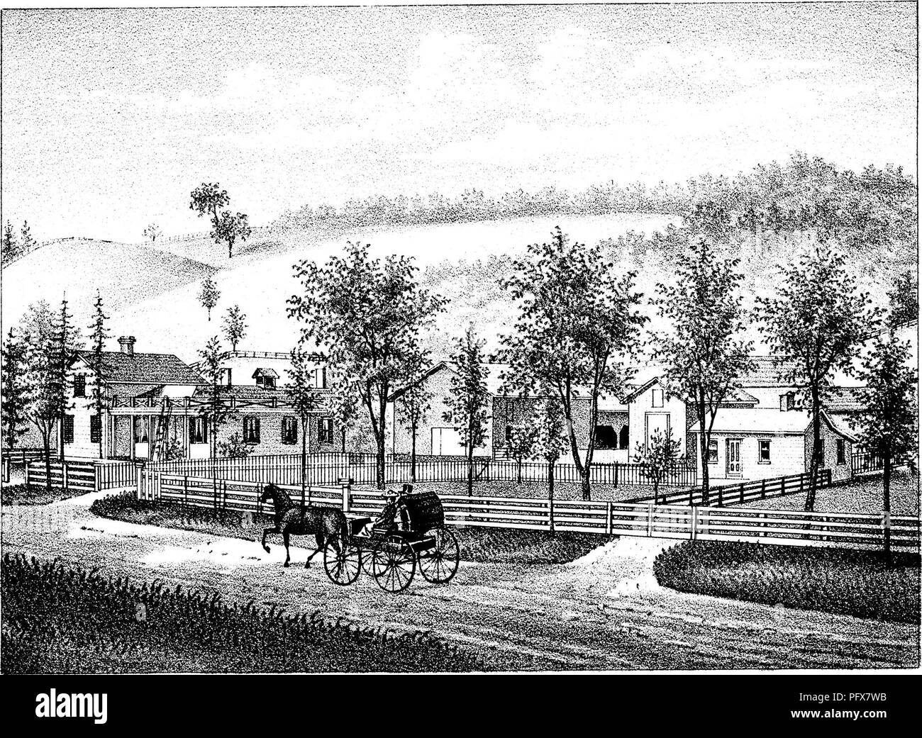 This historical work covers the history of Steuben County, New York ...