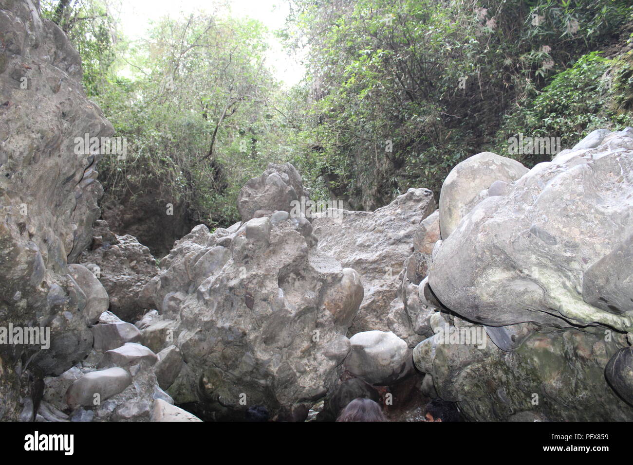Robbers Cave Dehradun Uttarakhand Indian.Guchu pani Dehardun Stock ...