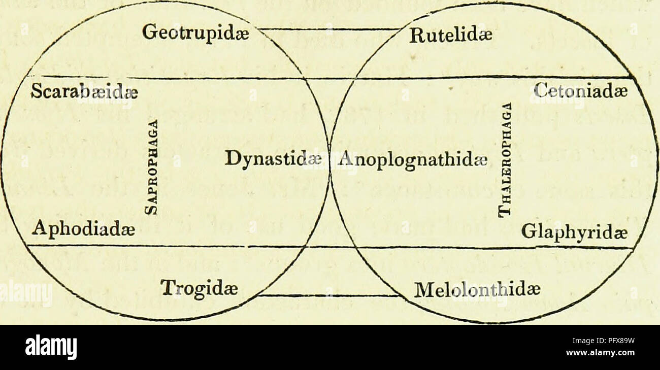 This introduction to entomology covers the natural history of insects ...