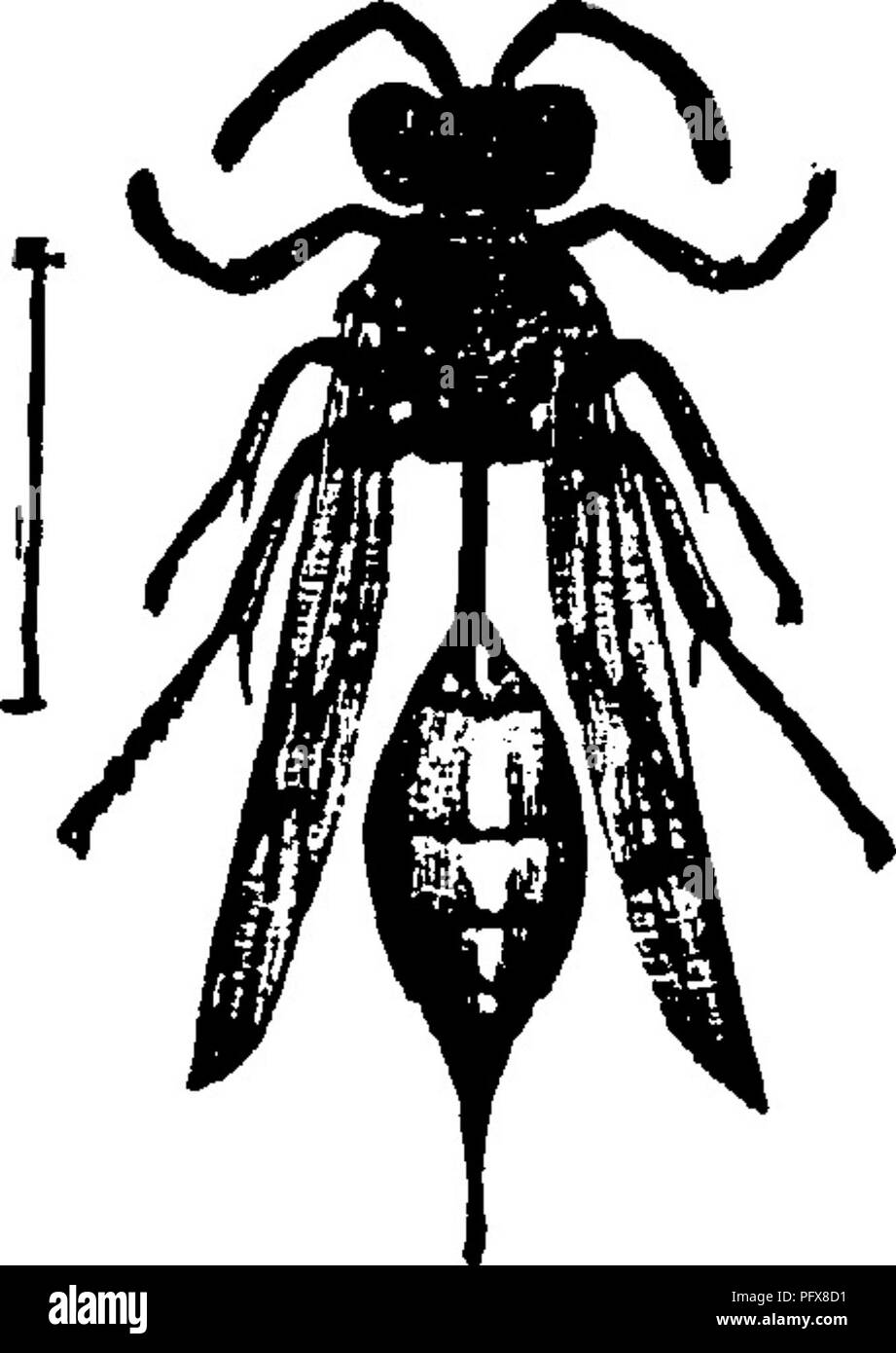 Tera forming hi-res stock photography and images - Alamy