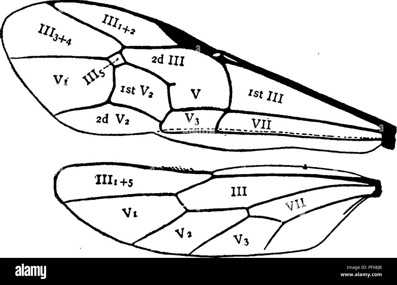 This manual provides detailed illustrations and descriptions of various ...
