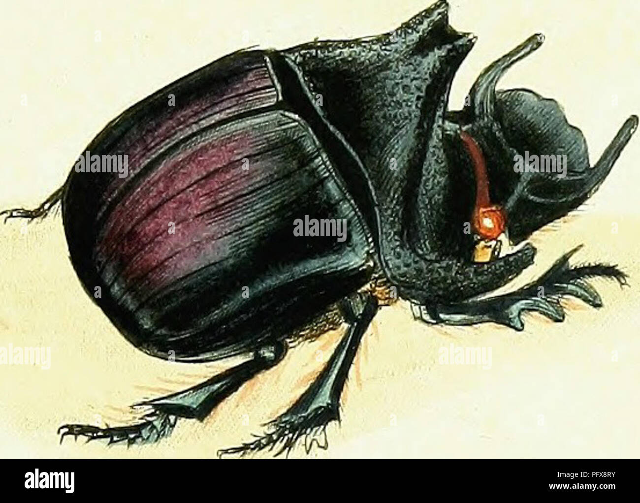 John o westwood hi-res stock photography and images - Alamy