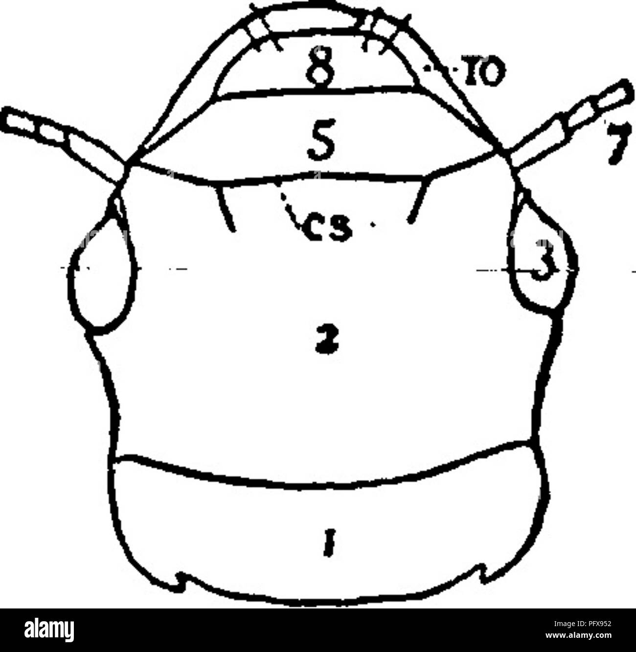 This manual provides detailed information on various families of ...