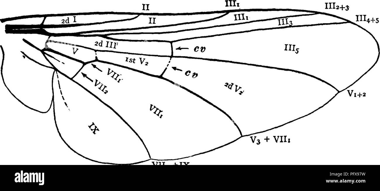 Transverse wrinkles hi-res stock photography and images - Alamy