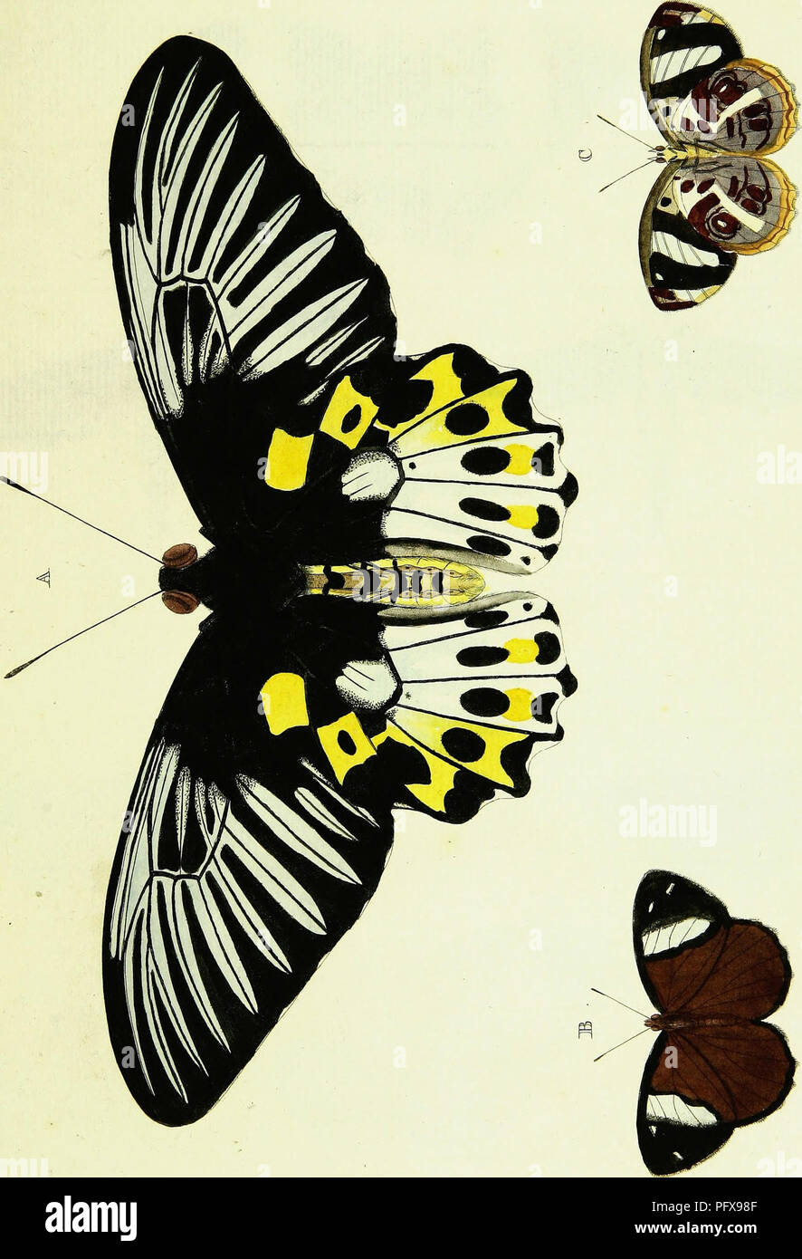 This work by Pieter Cramer and Caspar Stoll illustrates foreign ...