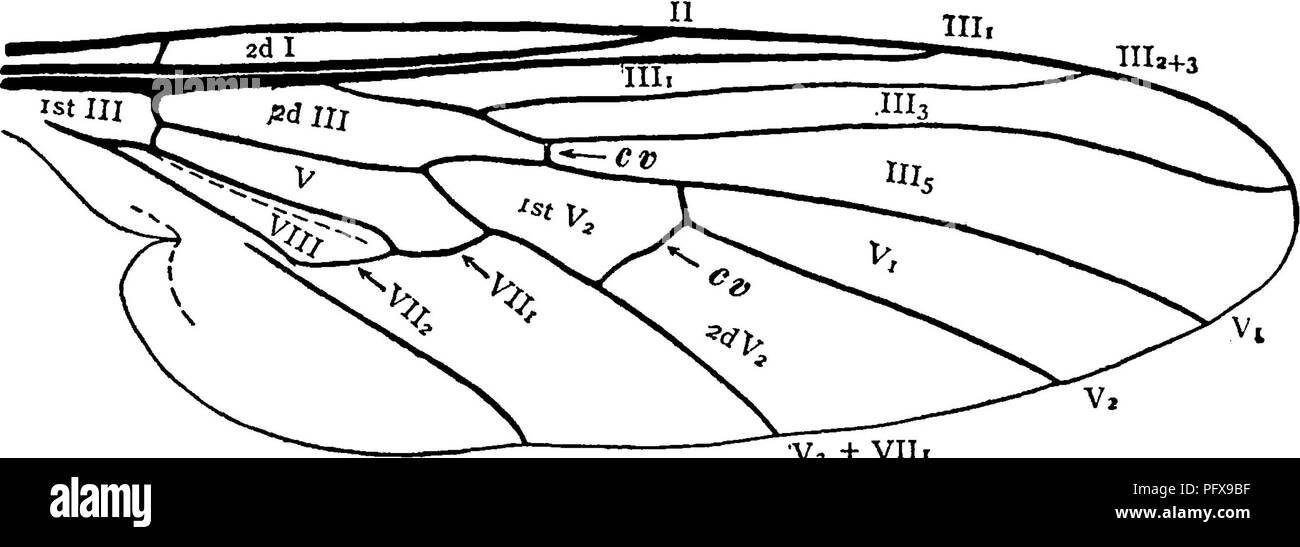 This image illustrates key information from a manual on insect studies ...