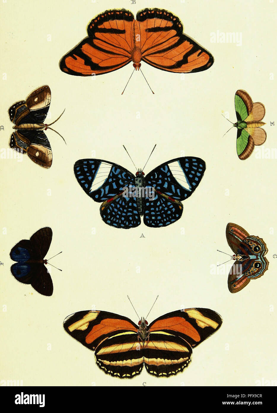 This illustration from 'De Uitlandsche Kapellen' depicts various ...