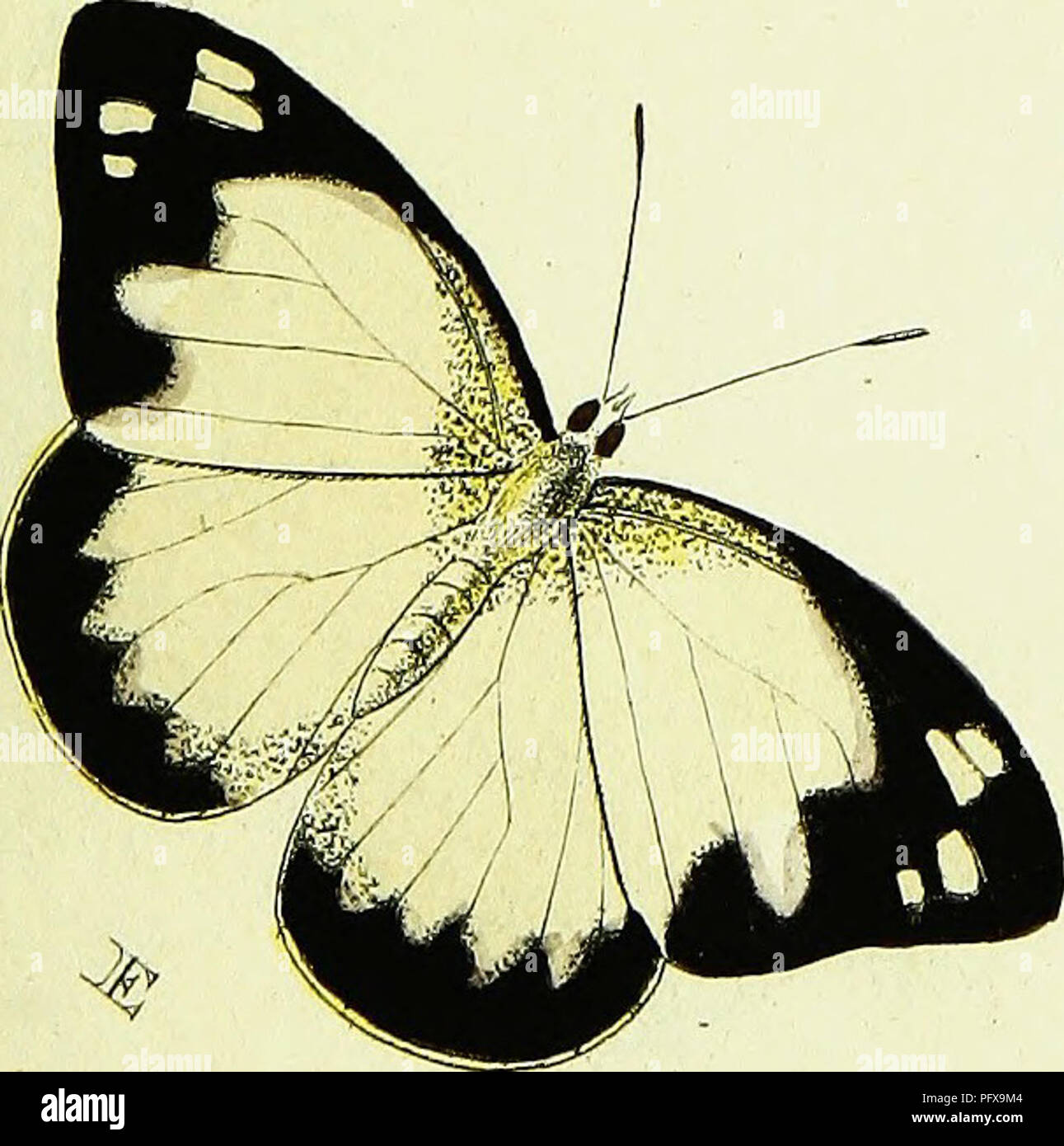This work by Pieter Cramer and Caspar Stoll, first published in the ...