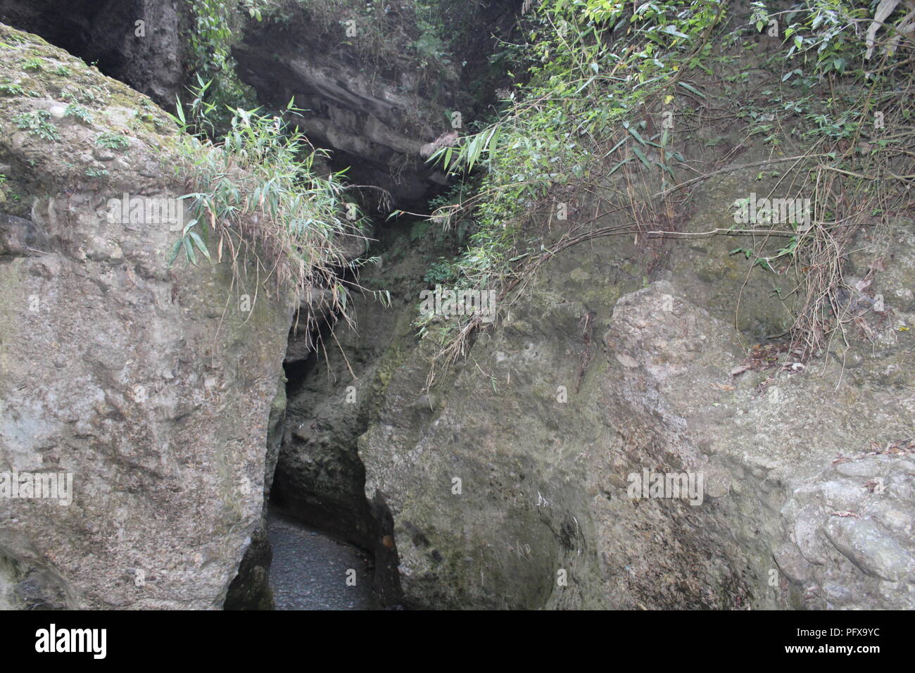 Robbers Cave Dehradun Uttarakhand Indian.Guchu pani Dehardun Stock ...