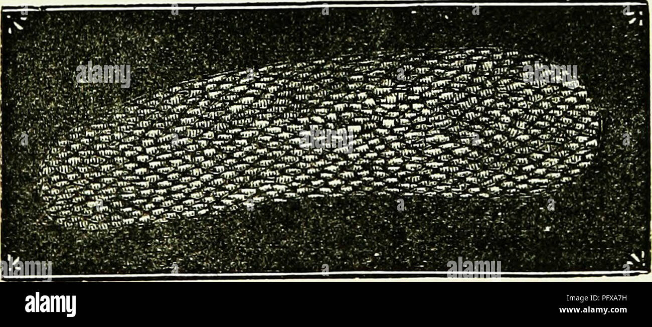 This comprehensive guide covers modern beekeeping techniques in the ...