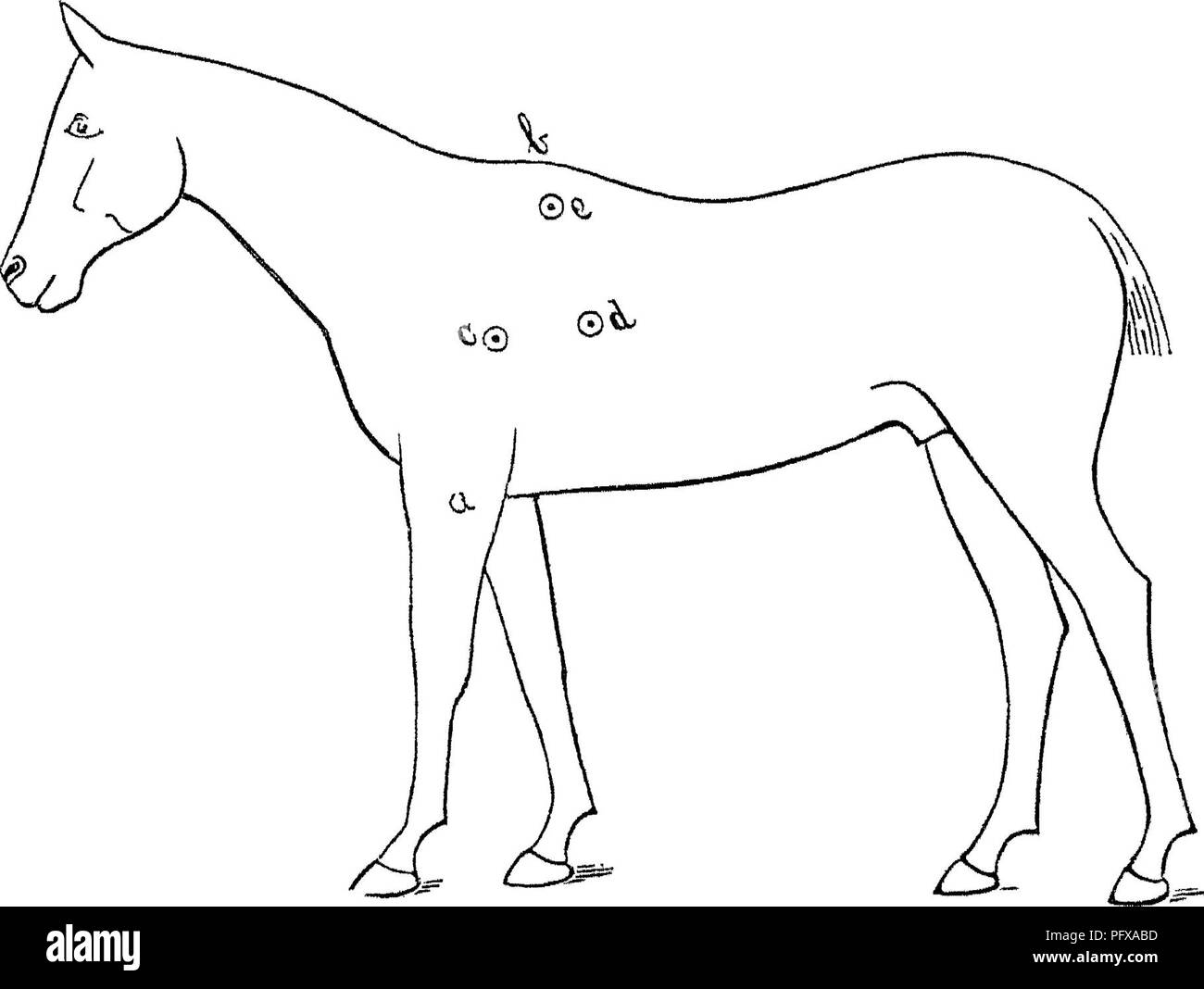 Shoulder fore hi-res stock photography and images - Alamy