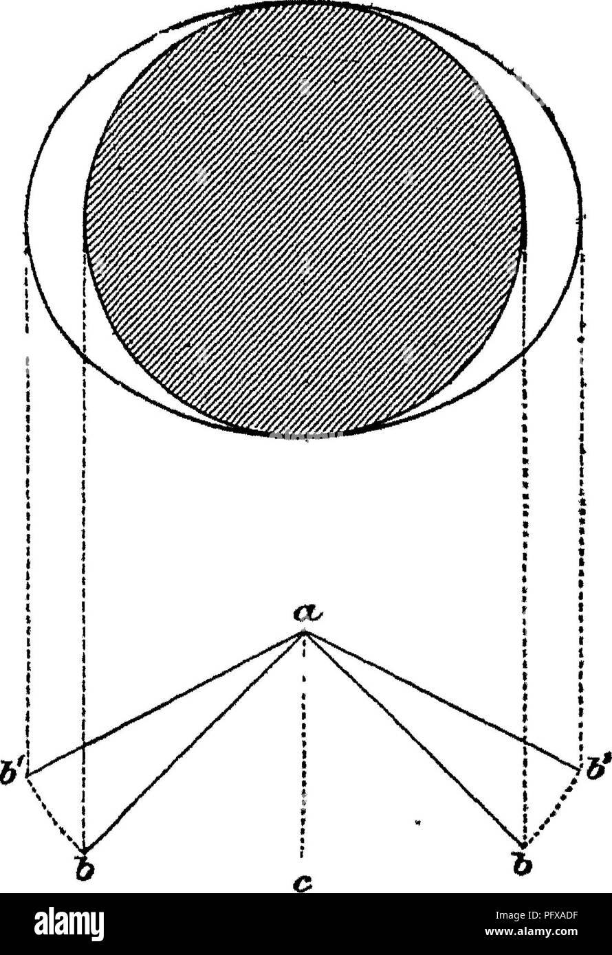 This treatise examines the physical conformation, movements, and ...