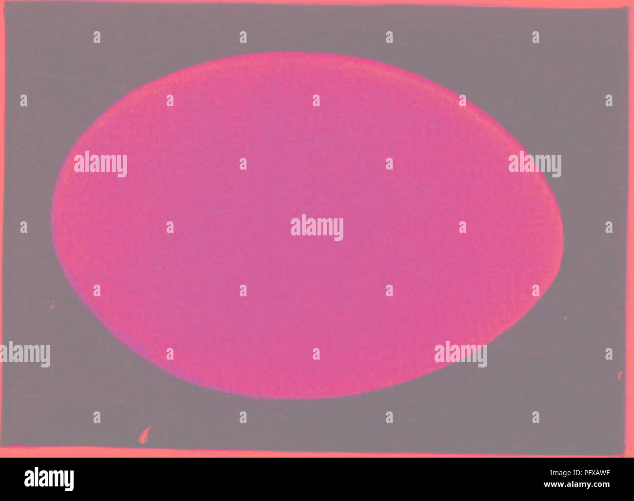 This work explores the role of bacteria and fungi in food spoilage and ...