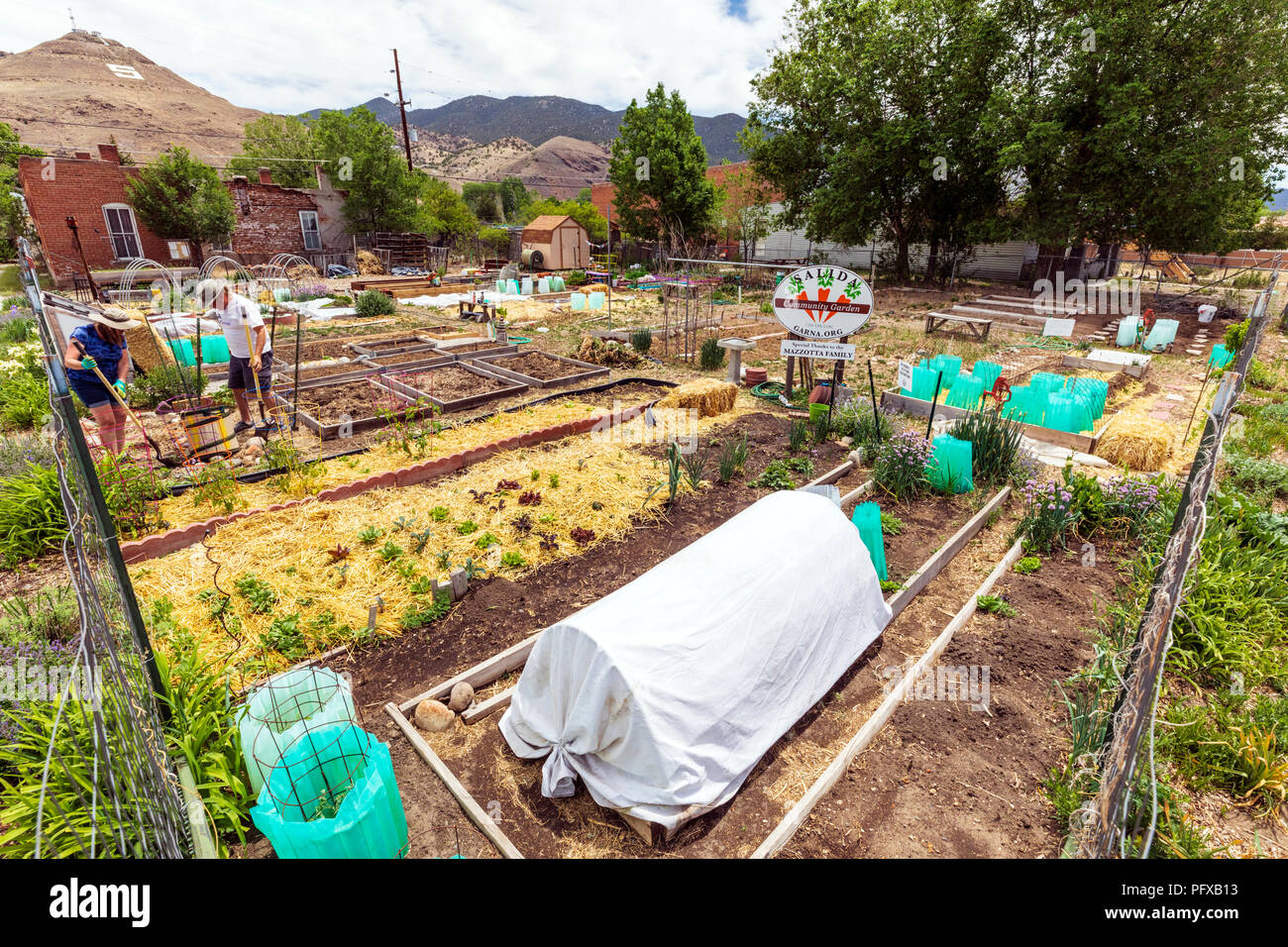 Hune hi-res stock photography and images - Alamy