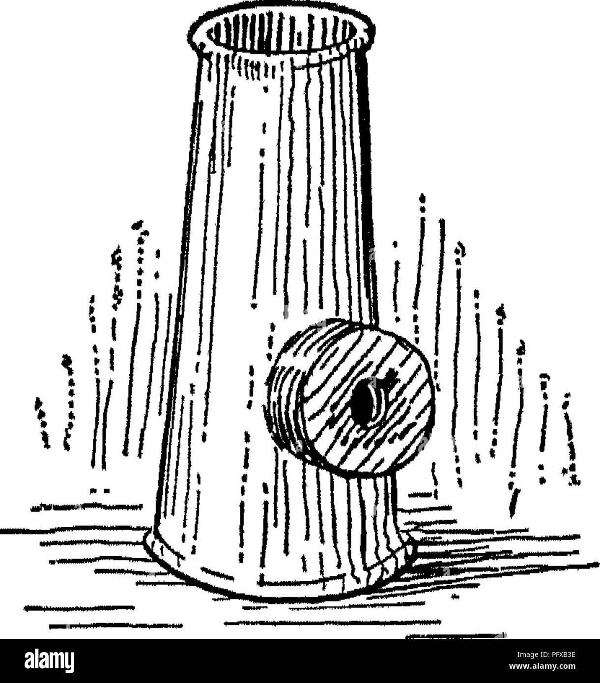This work discusses bacteriology and mycology as it applies to food ...