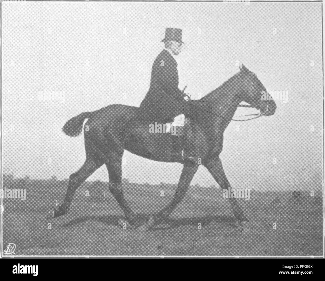 This treatise covers the conformation, movements, breeds, and ...