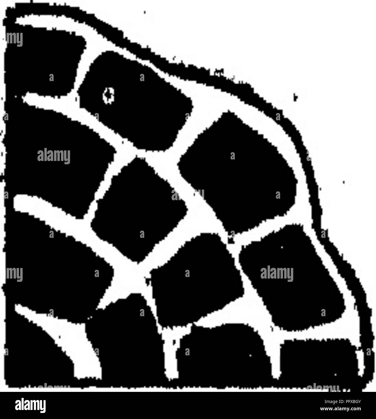 This work by Fred Wilbur Tanner discusses the various types of ...