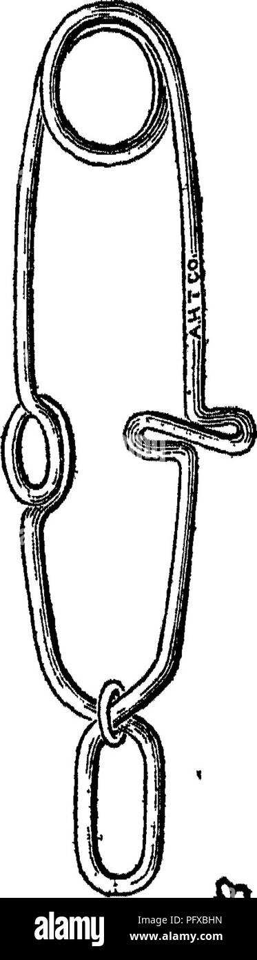 This image provides insights into the bacteriology and mycology of ...