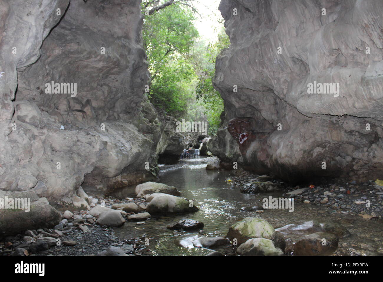 Robbers Cave Dehradun Uttarakhand Indian.Guchu pani Dehardun Stock ...
