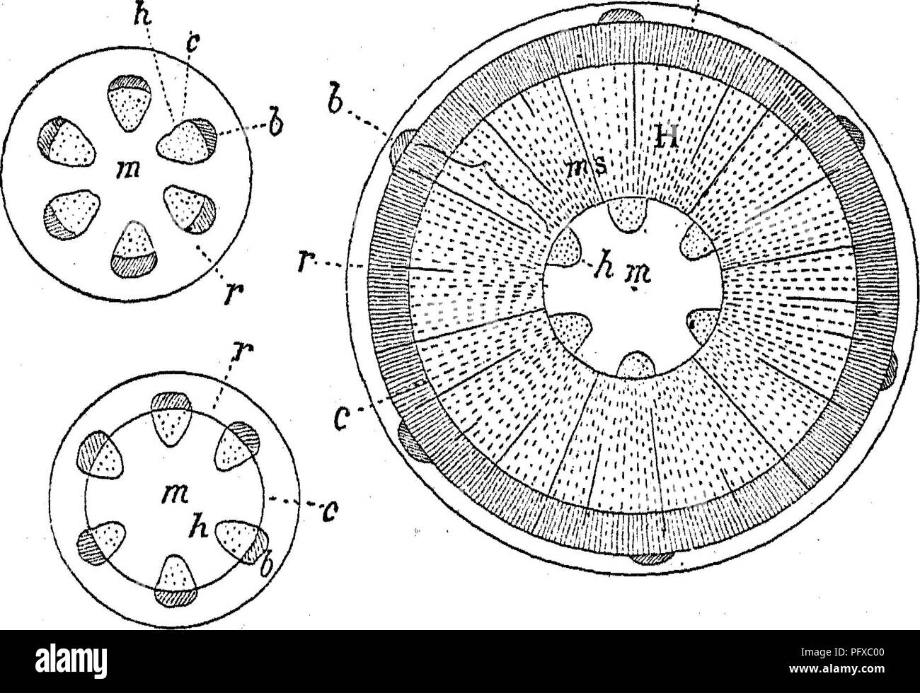 Eays hi-res stock photography and images - Alamy