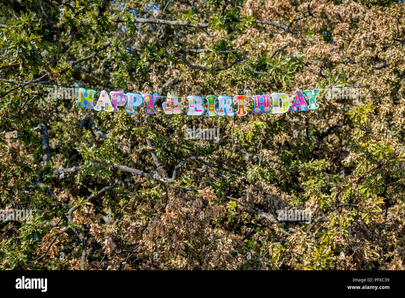 Detail of a Happy Birthday message stretched across the branches of a ...