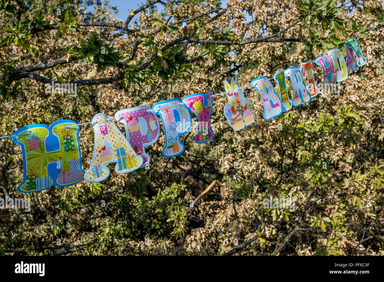Detail of a Happy Birthday message stretched across the branches of a ...