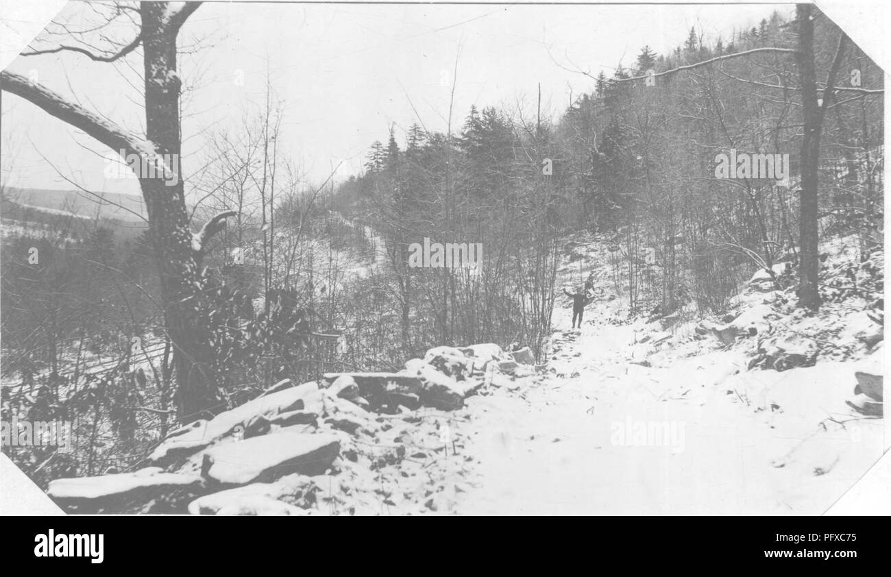 This document details the development of fire protection strategies ...