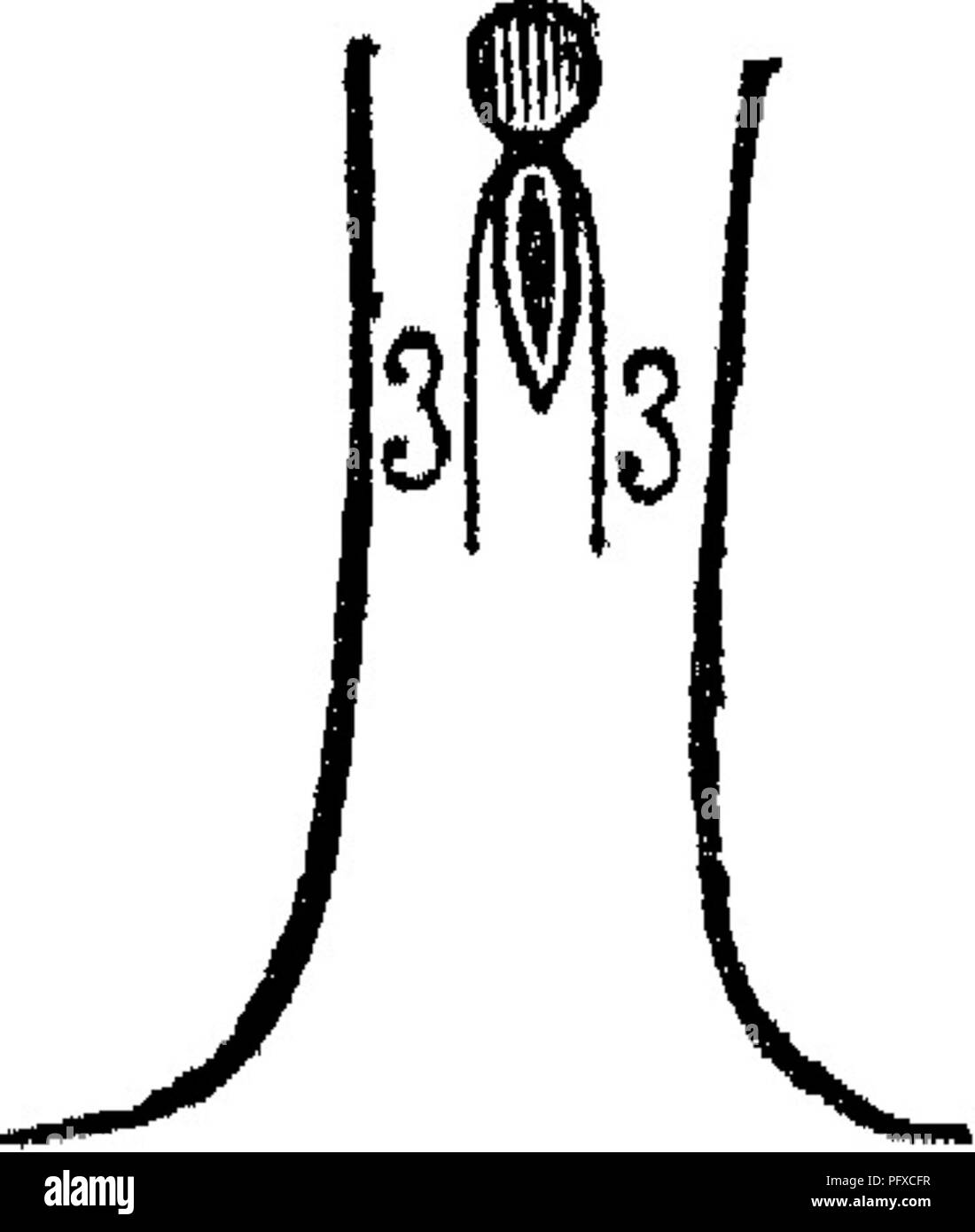 Milk cows feeding Black and White Stock Photos & Images - Alamy