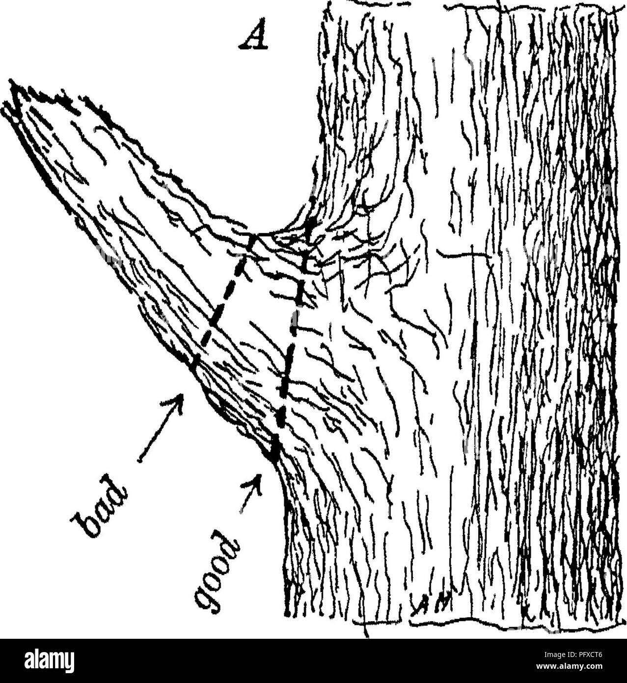 Lacerated wound hi-res stock photography and images - Alamy