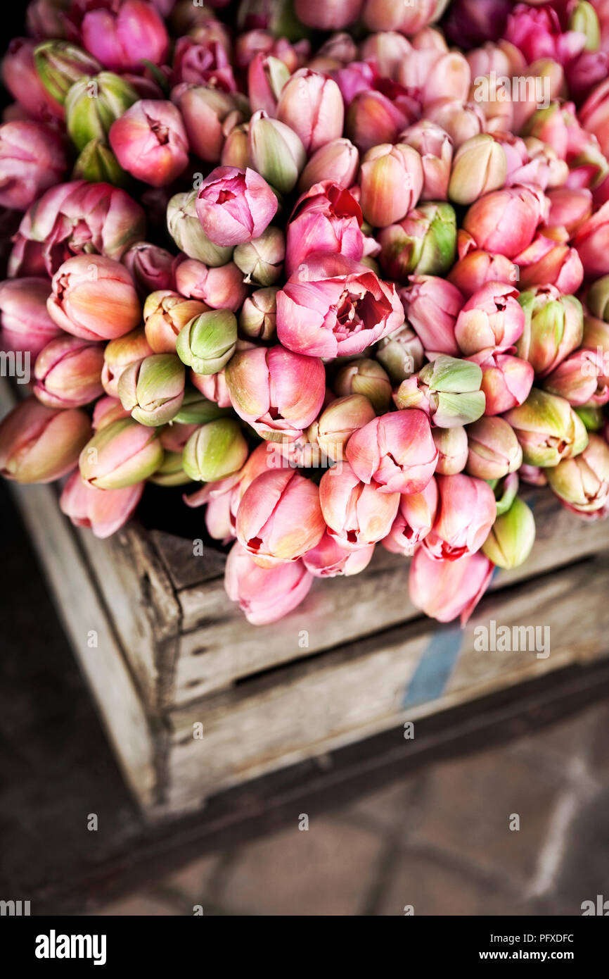 Colorful Spring flowers on the stall of a florist shop Stock Photo - Alamy